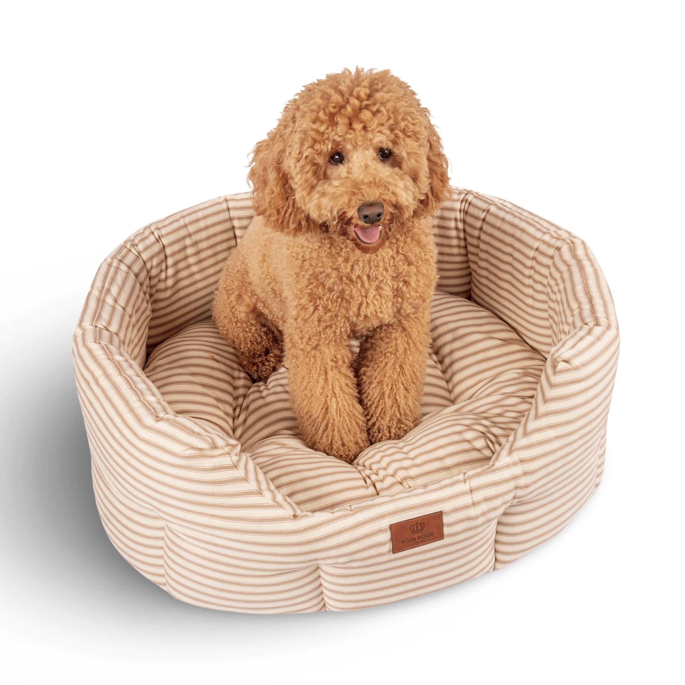 Luxury Dog Beds And Blankets For Small Dogs And Puppies at Posh Poos
