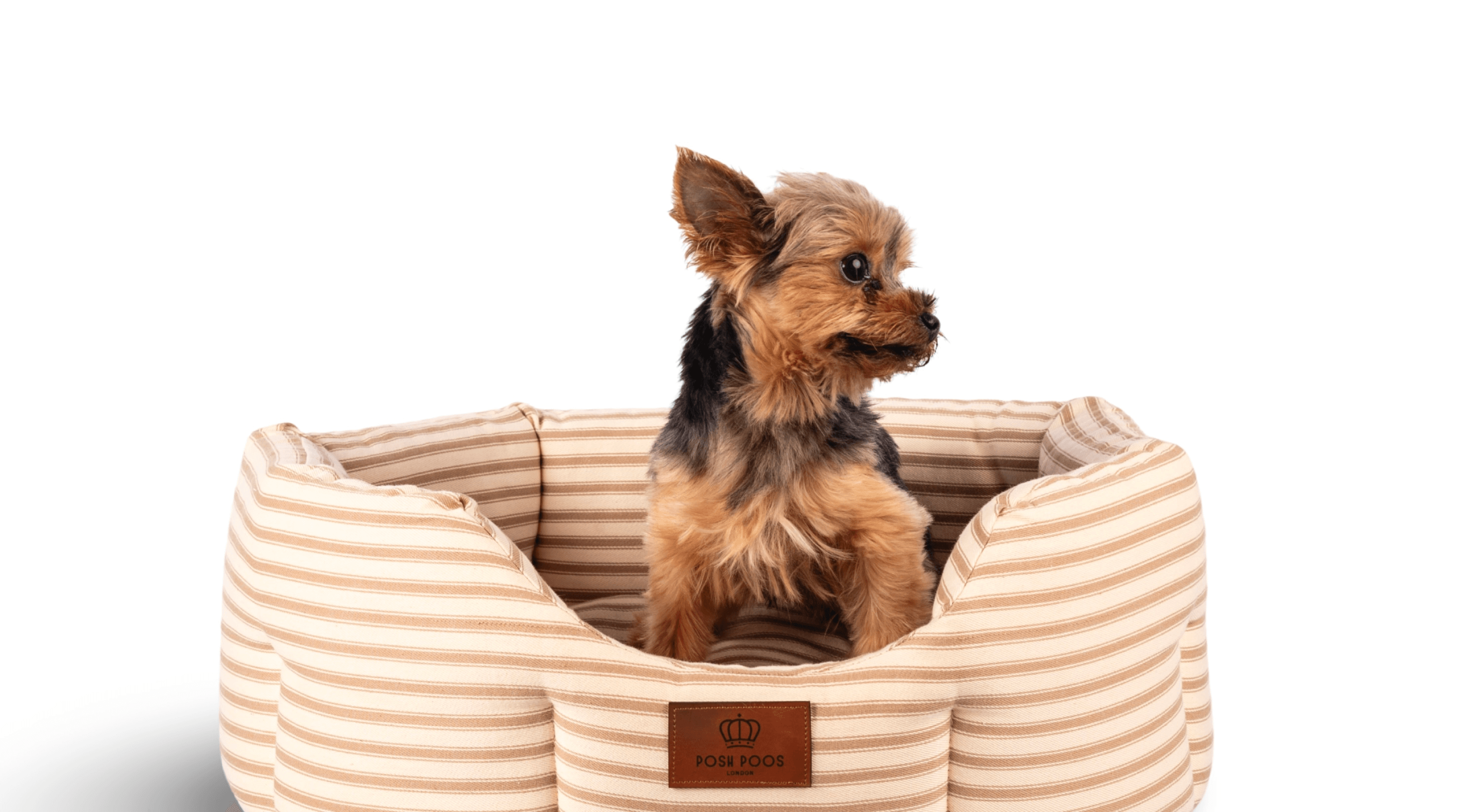 Posh Poos Tiny Toy Puppy And Dog Essentials