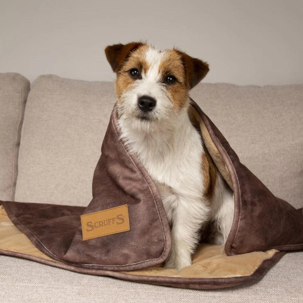 Best Puppy Toys for Crate Training | Posh Poos